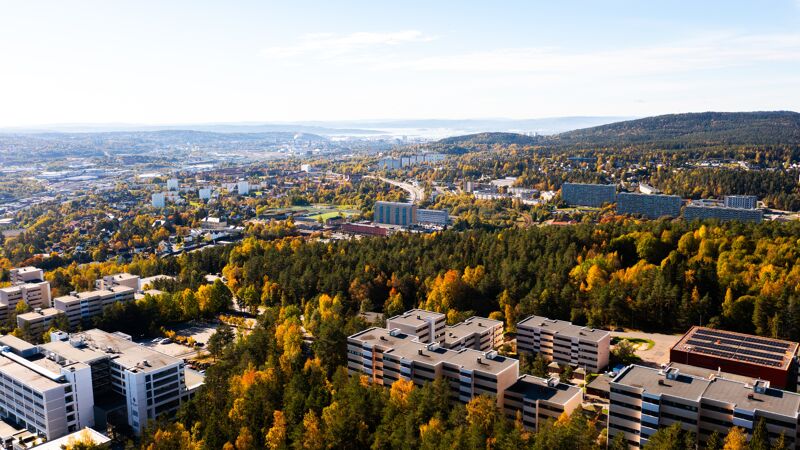 Bydel Grorud – forslag til budsjett og økonomiplan for 2025-2028 - Oslo ...