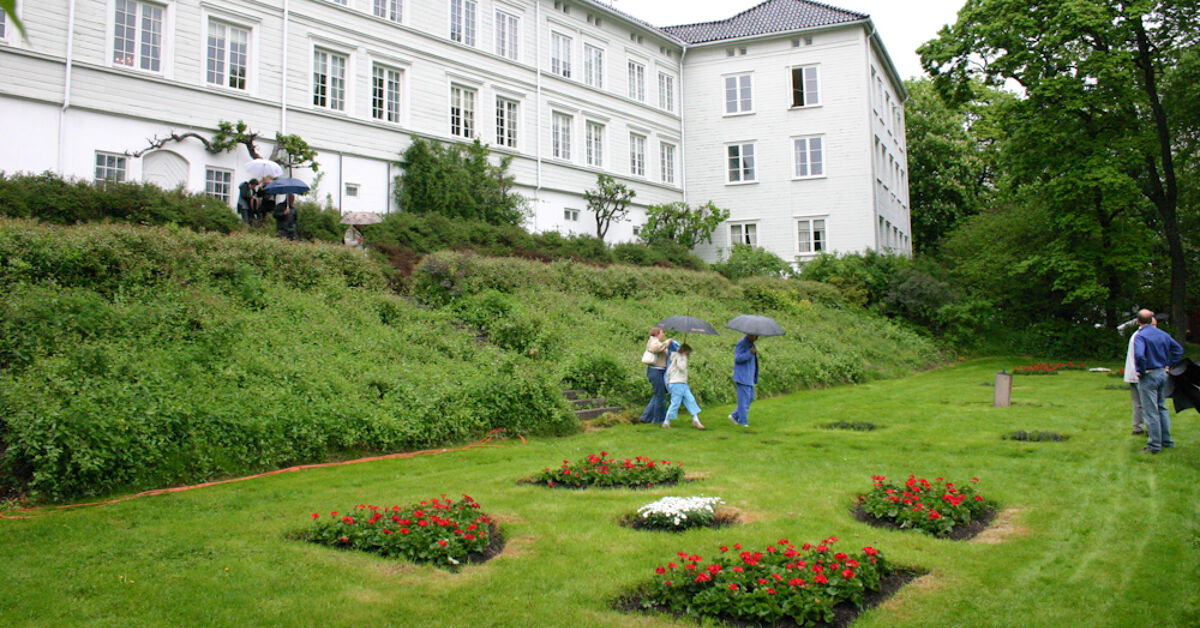 Kontakt og organisasjon i Bydel Bjerke - Bydel Bjerke - Oslo kommune